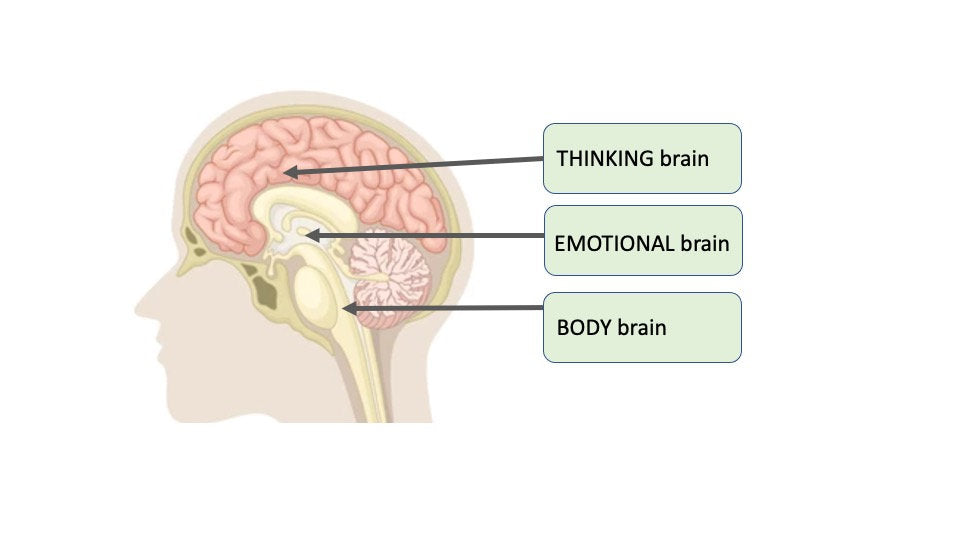 Surrender is the way to move ahead in every work - Neuroscience to Bha ...